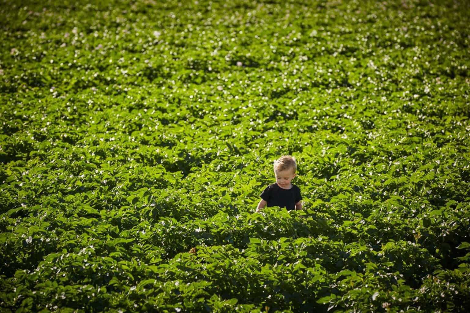 JC Farms - Farmer's Promise